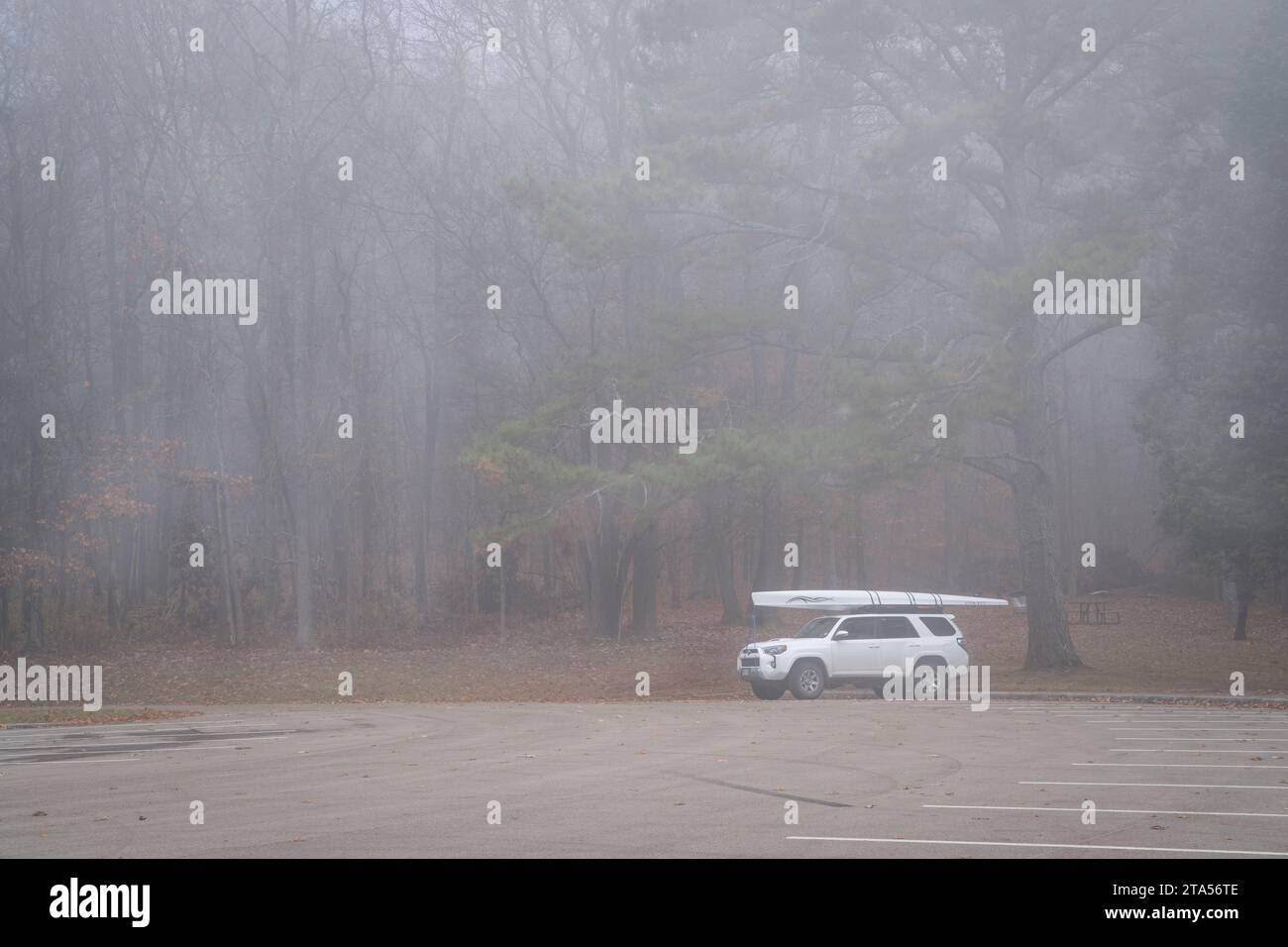 Colbert Ferry Park, AL, USA - November 23, 2023: Toyota 4runner SUV ...