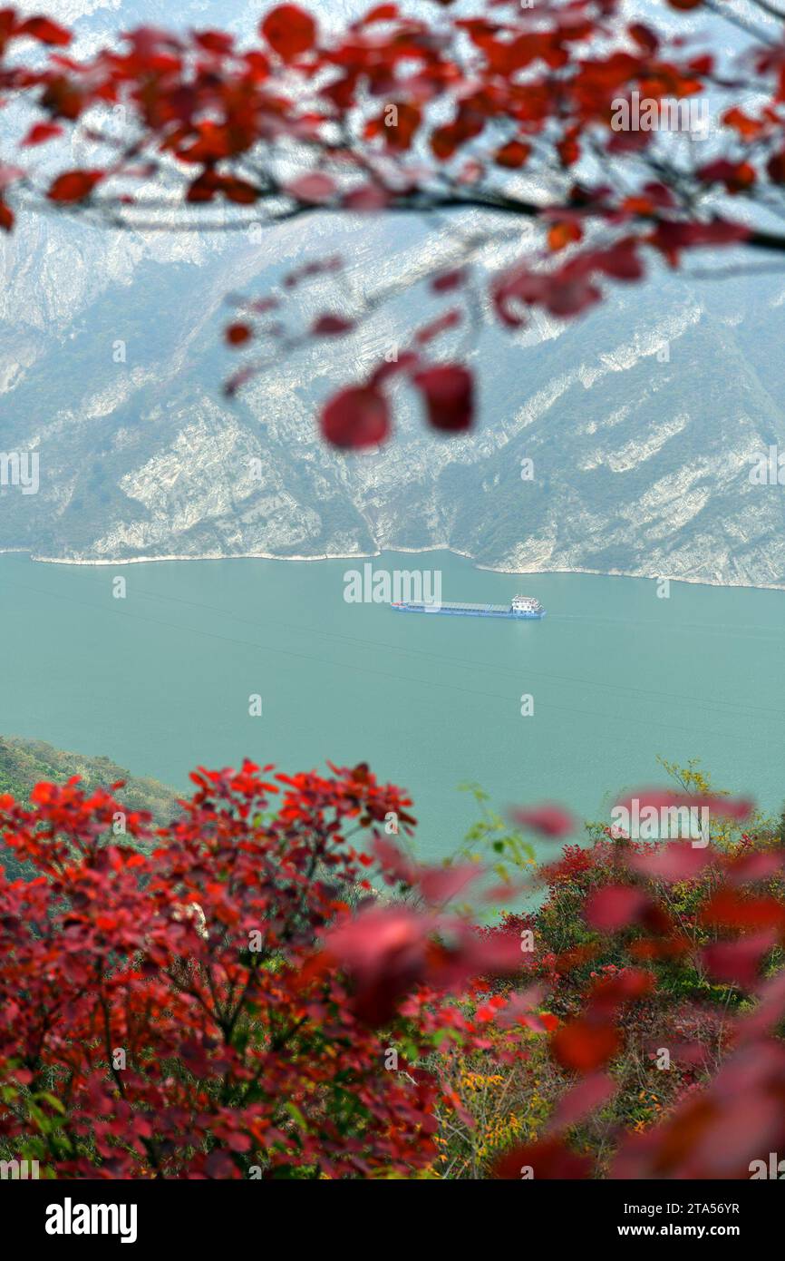 YICHANG, CHINA - NOVEMBER 27, 2023 - Cargo ships travel along the ...