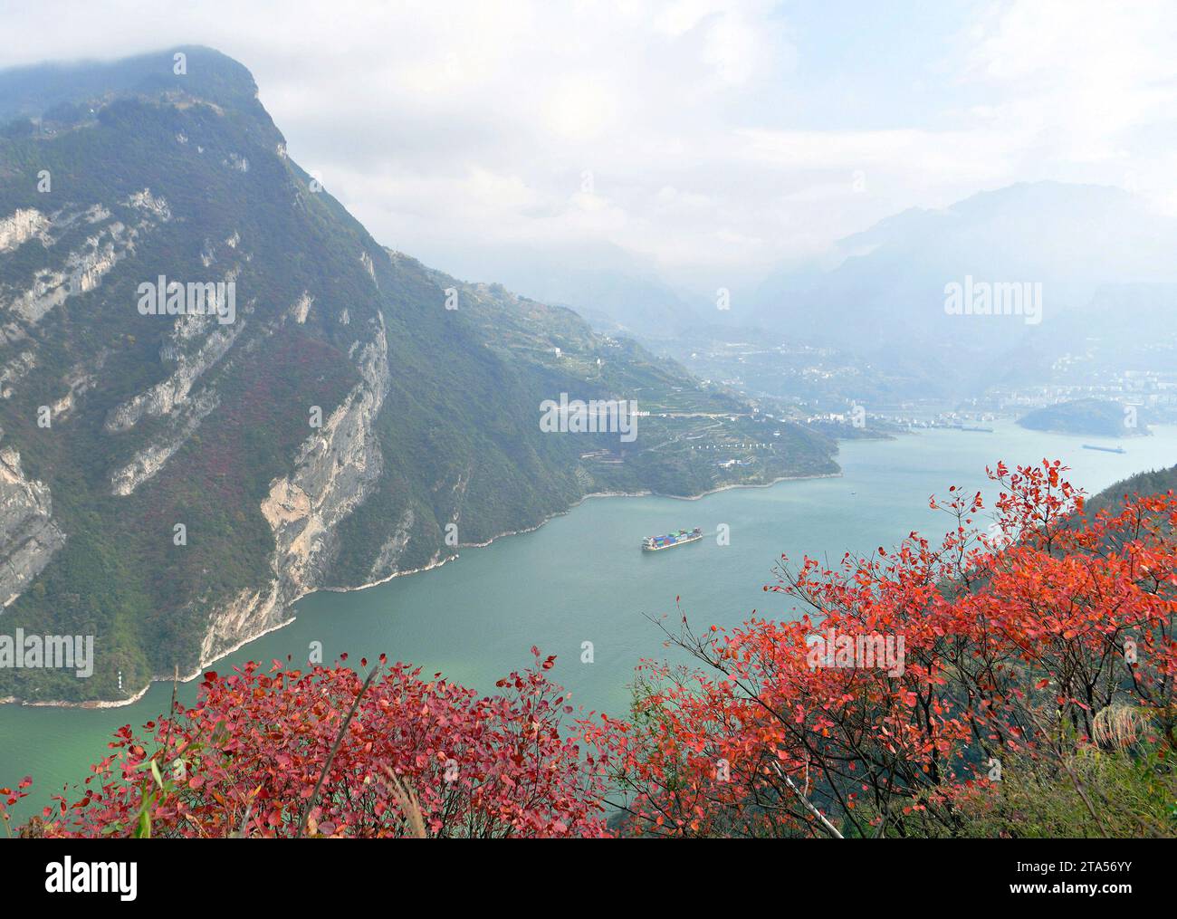 YICHANG, CHINA - NOVEMBER 27, 2023 - Cargo ships travel along the ...