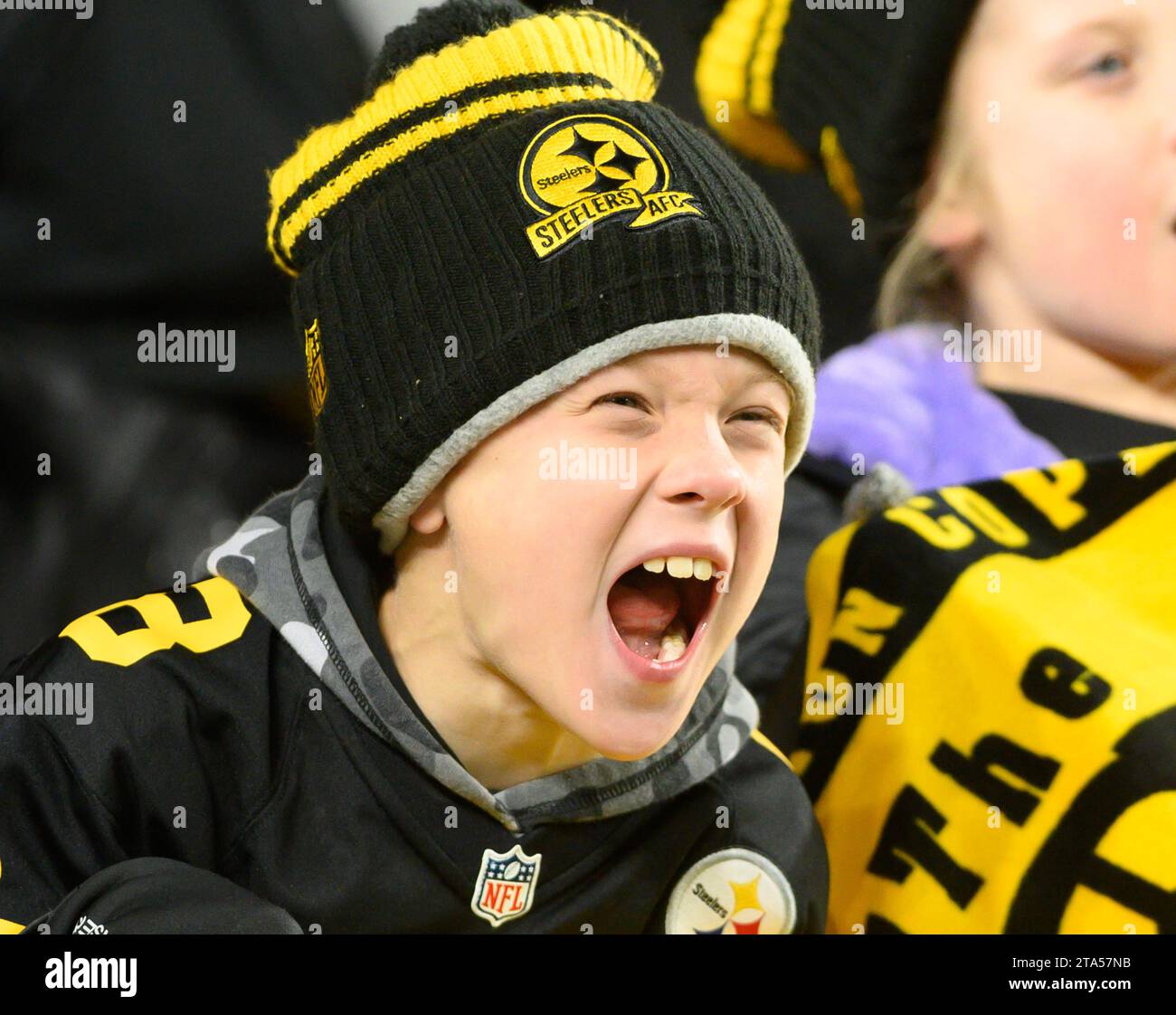 Steelers fan hi-res stock photography and images - Alamy