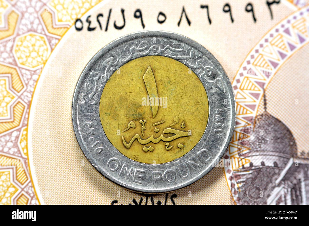 Reverse side date and value of Egyptian 1 LE EGP One Egyptian pound ...