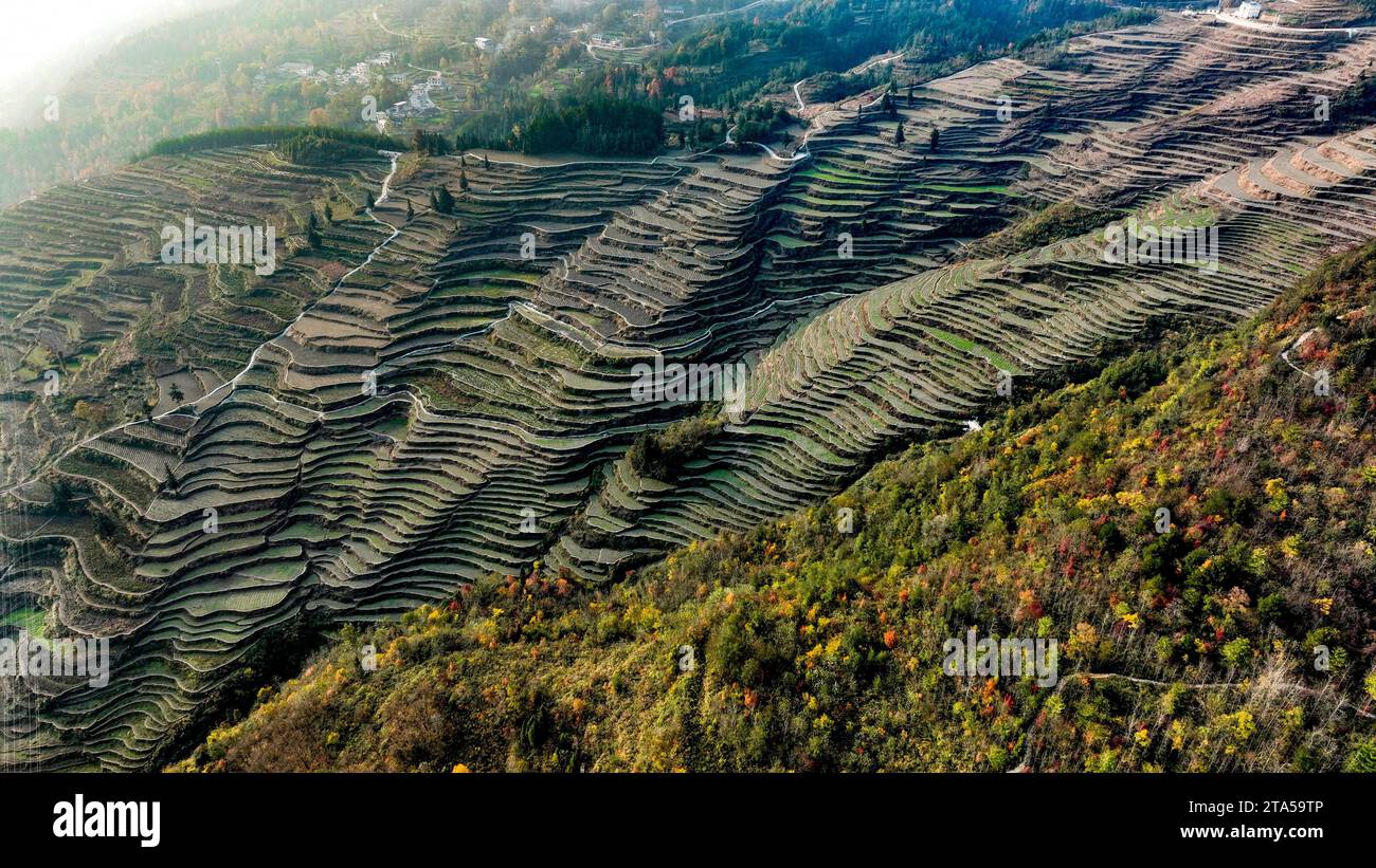 Aerial photo shows the winter scenery of terraced fields in Youyang ...