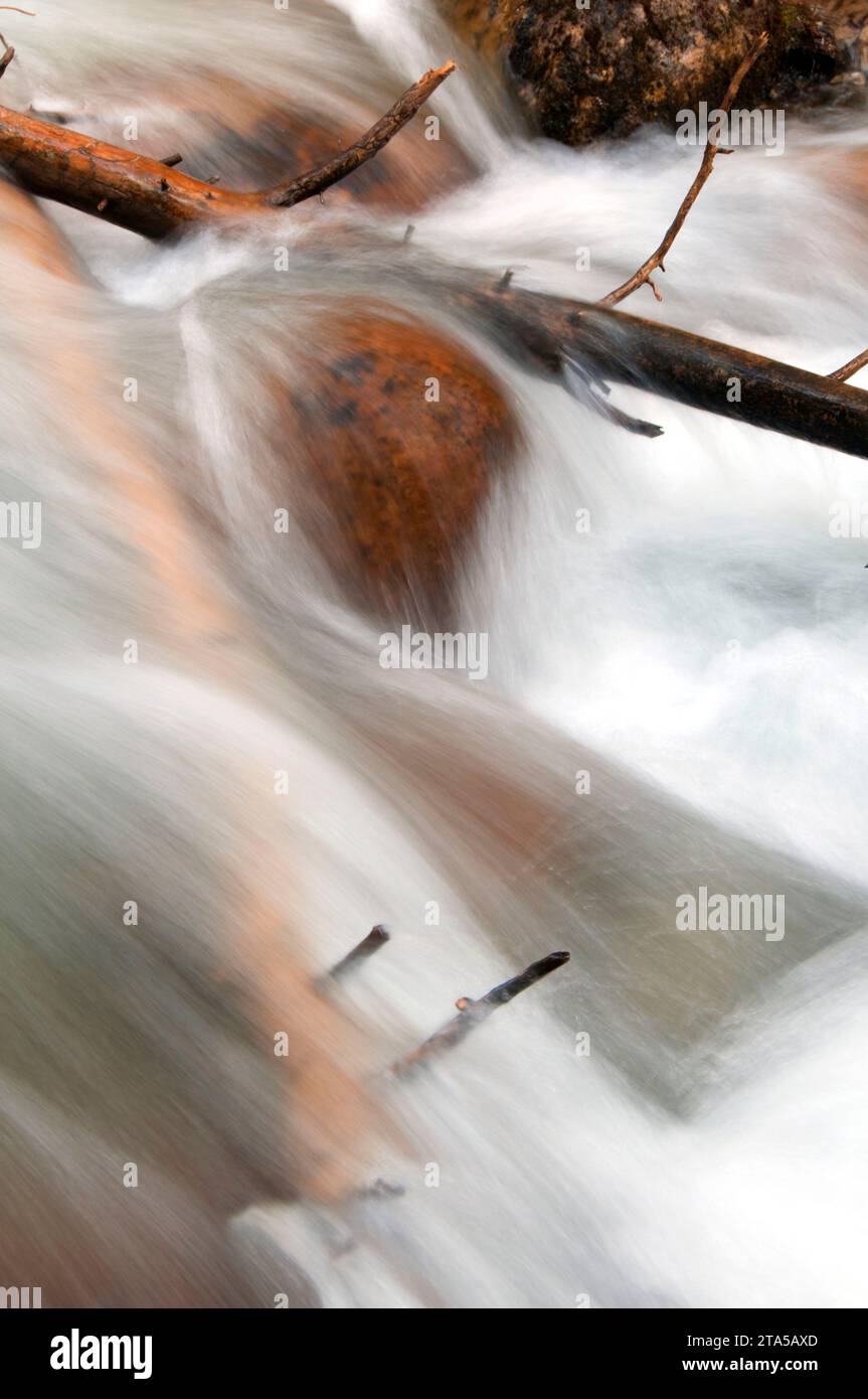 Silverton Creek, Banff National Park, Alberta, Canada Stock Photo - Alamy