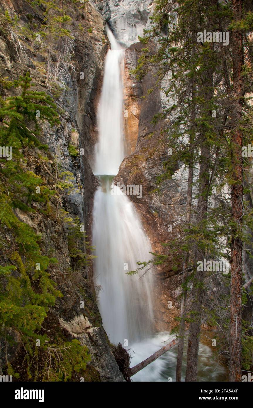 Silverton falls trail hi-res stock photography and images - Alamy