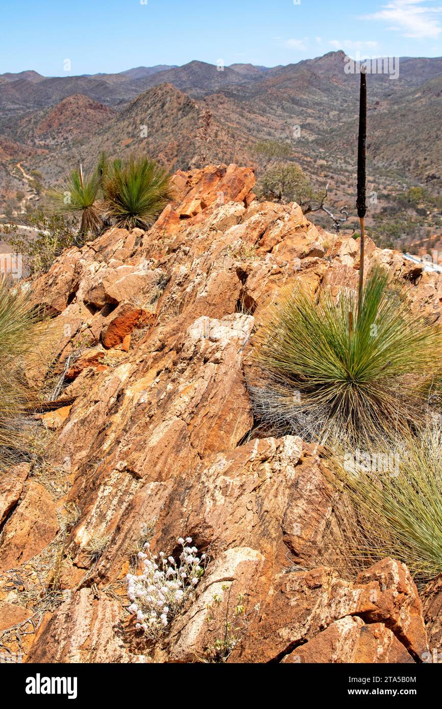Australia arkaroola sanctuary hi-res stock photography and images - Alamy