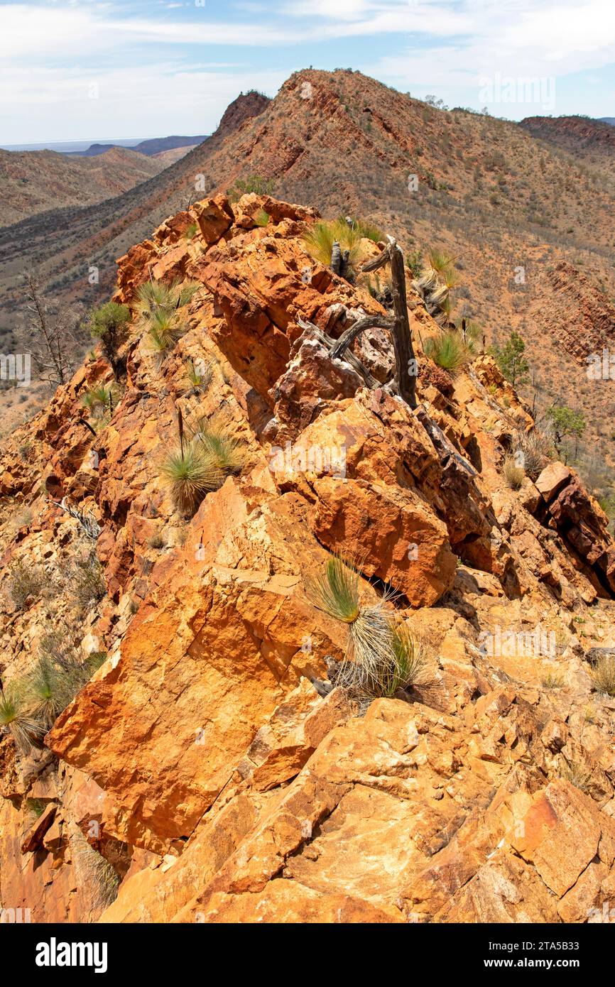 Summit of Griselda Hill, Arkaroola Wilderness Sanctuary Stock Photo - Alamy