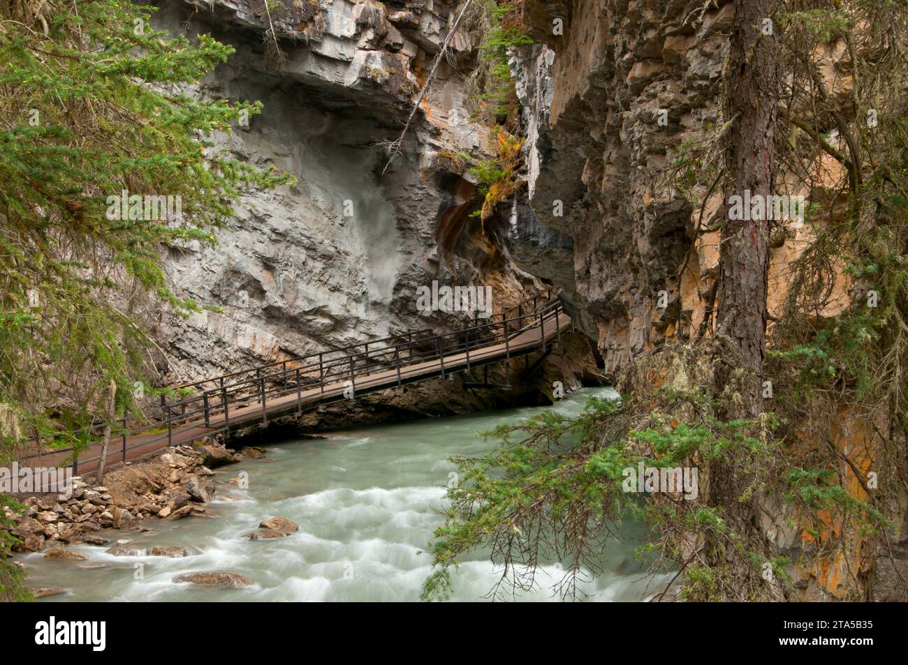 Catwalk above Johnston Creek along Johnston Canyon Trail, Banff ...