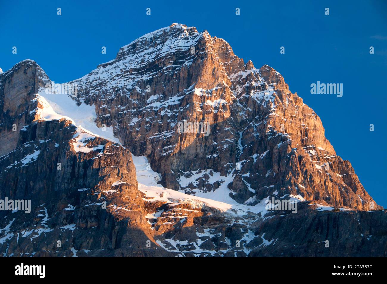 Mount Temple, Banff National Park, Alberta, Canada Stock Photo - Alamy