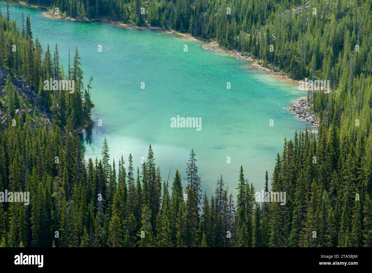 Vista Lake, Banff National Park, Alberta, Canada Stock Photo - Alamy