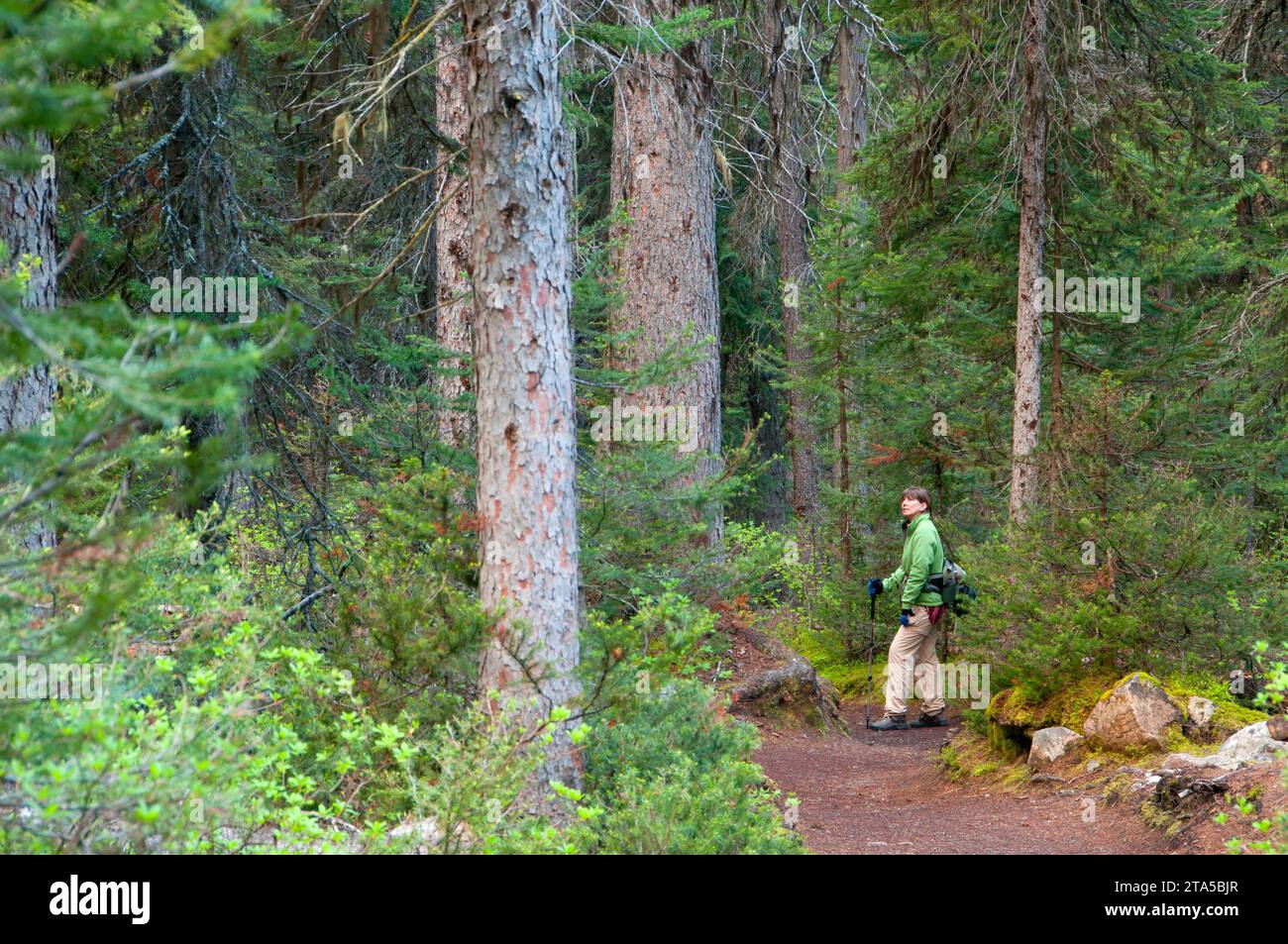 Fairview national park hi-res stock photography and images - Alamy
