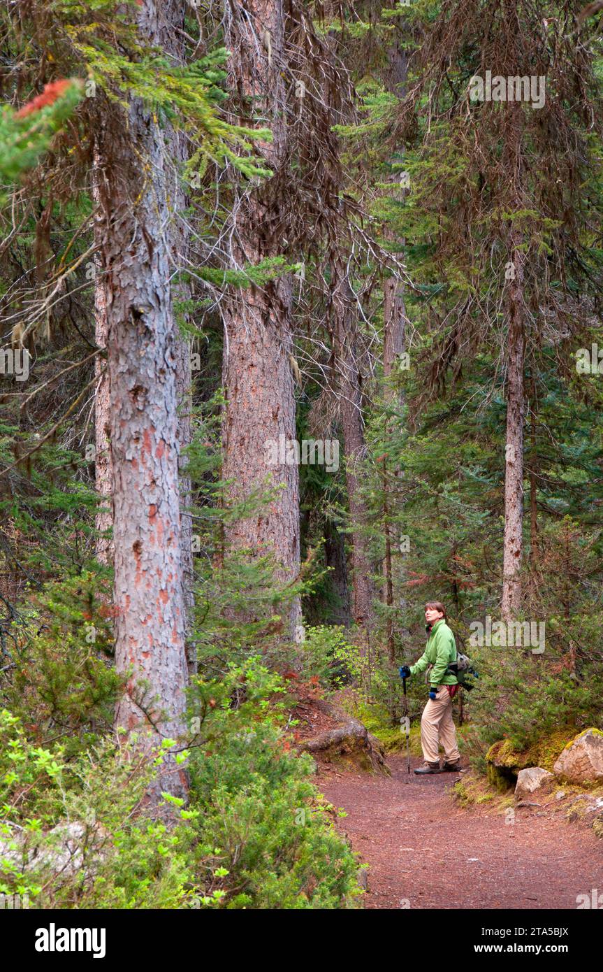 Fairview national park hi-res stock photography and images - Alamy