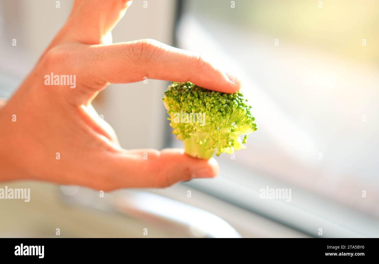 Front Close up view of isolated broccoli held by white hand in the ...