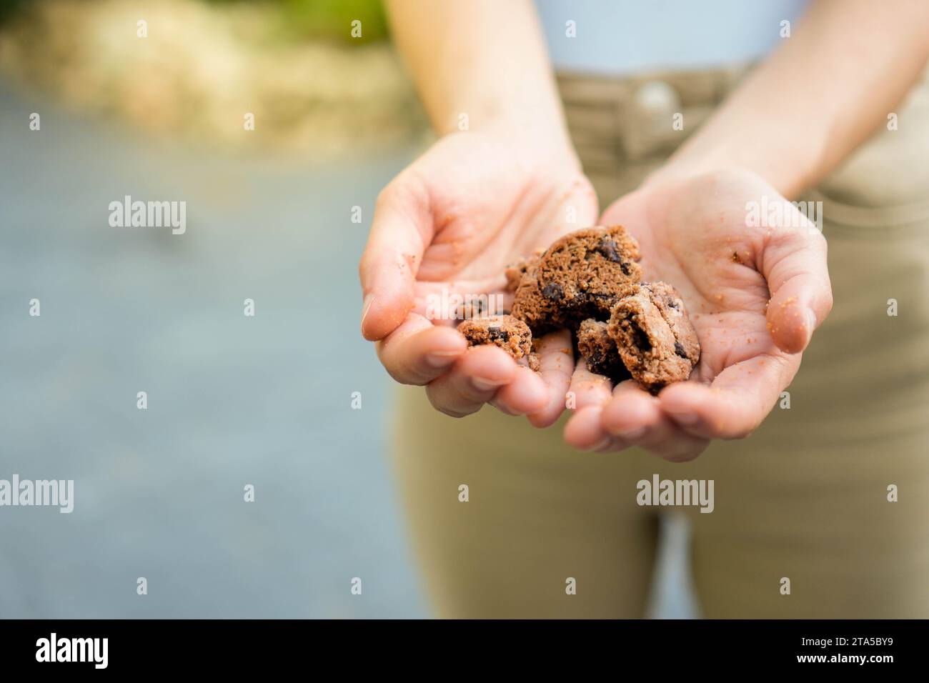 Front close up view of two woman white hands holding cookie broken in ...