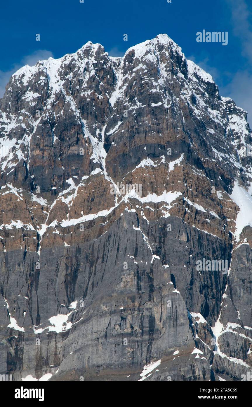 Mount Chephren from Chephren Lake Trail, Banff National Park, Alberta ...