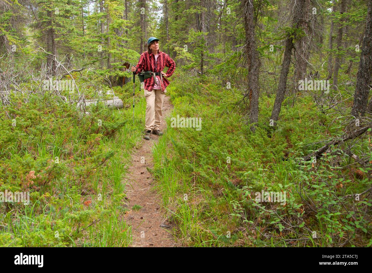 Warden Lake Trail, Banff National Park, Alberta, Canada Stock Photo - Alamy