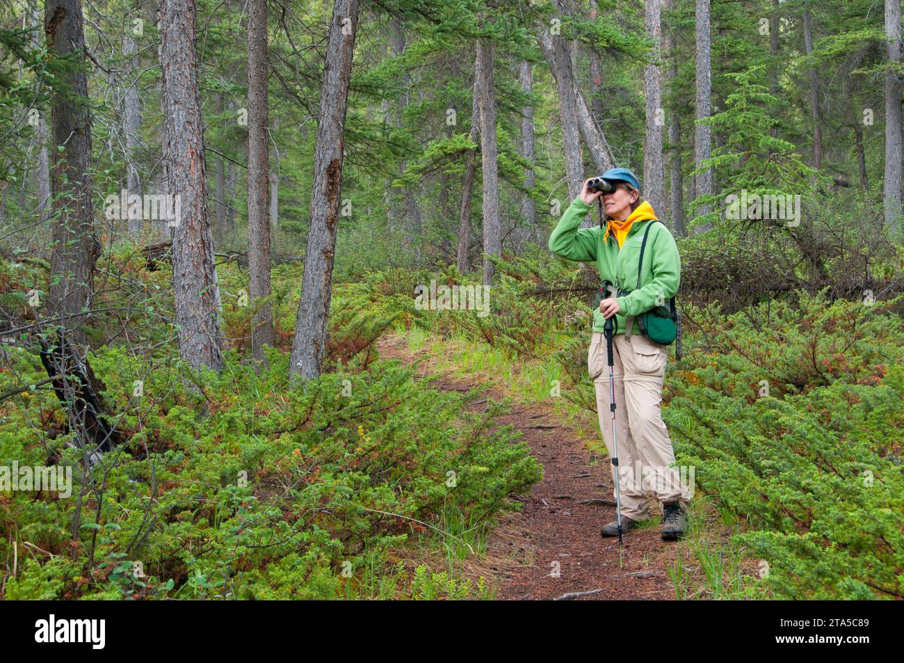 Warden Lake Trail, Banff National Park, Alberta, Canada Stock Photo - Alamy