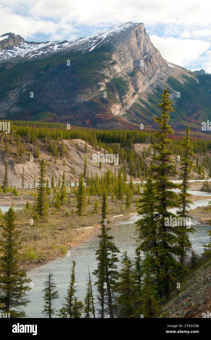 North Saskatchewan River from Warden Lake Trail, Banff National Park ...