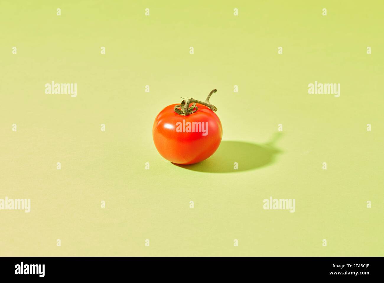 A plump red tomato isolated on a pastel background. Tomato contains ...