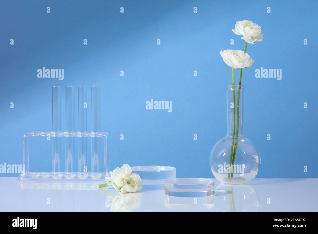 Glass podium in round-shaped displayed with some test tubes on rack. A ...