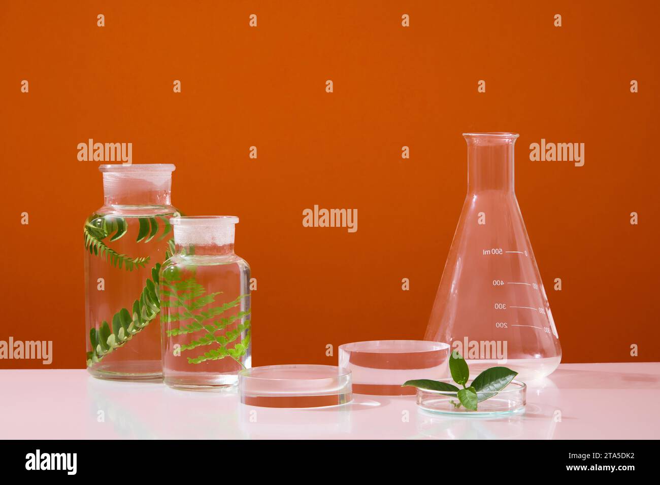 Florence flask hi-res stock photography and images - Alamy