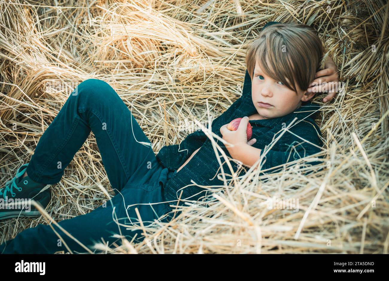 Kid boy holding gold leaf and lies on the hay. Fair-haired boy lies on ...