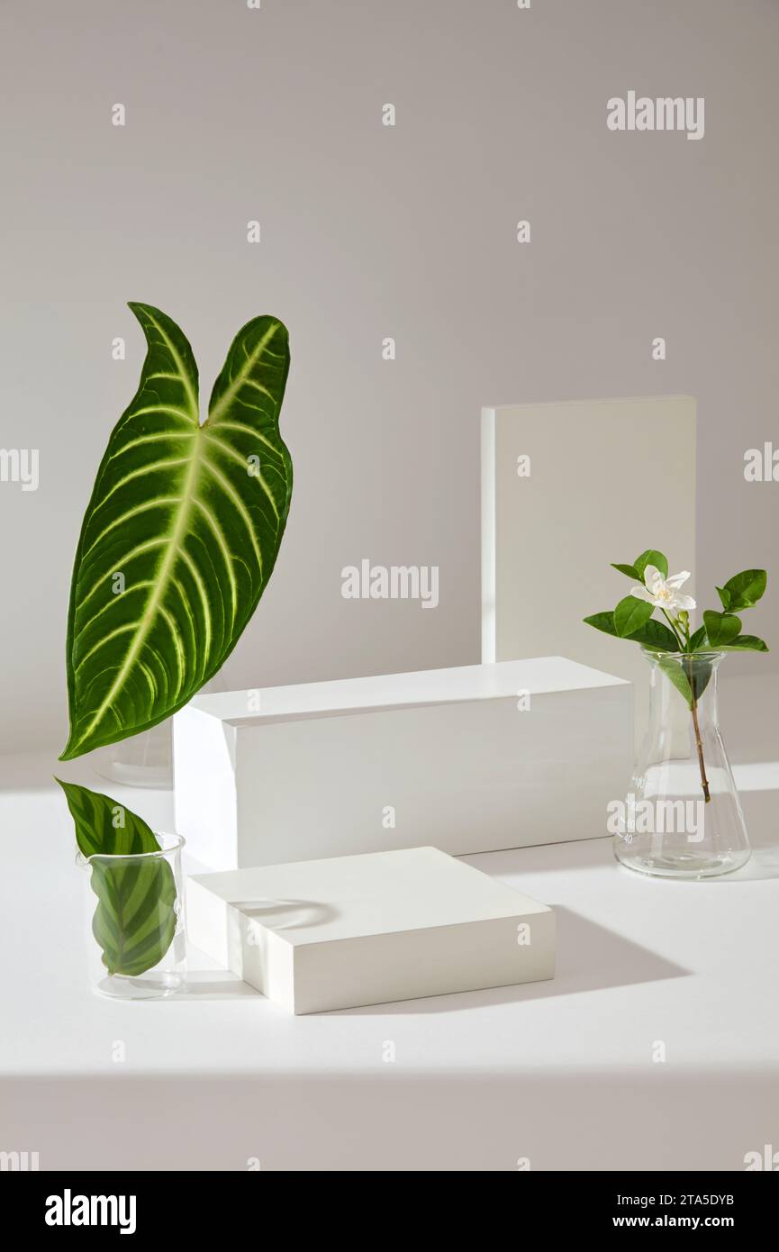 Square and rectangle podiums arranged over white background. A conical ...