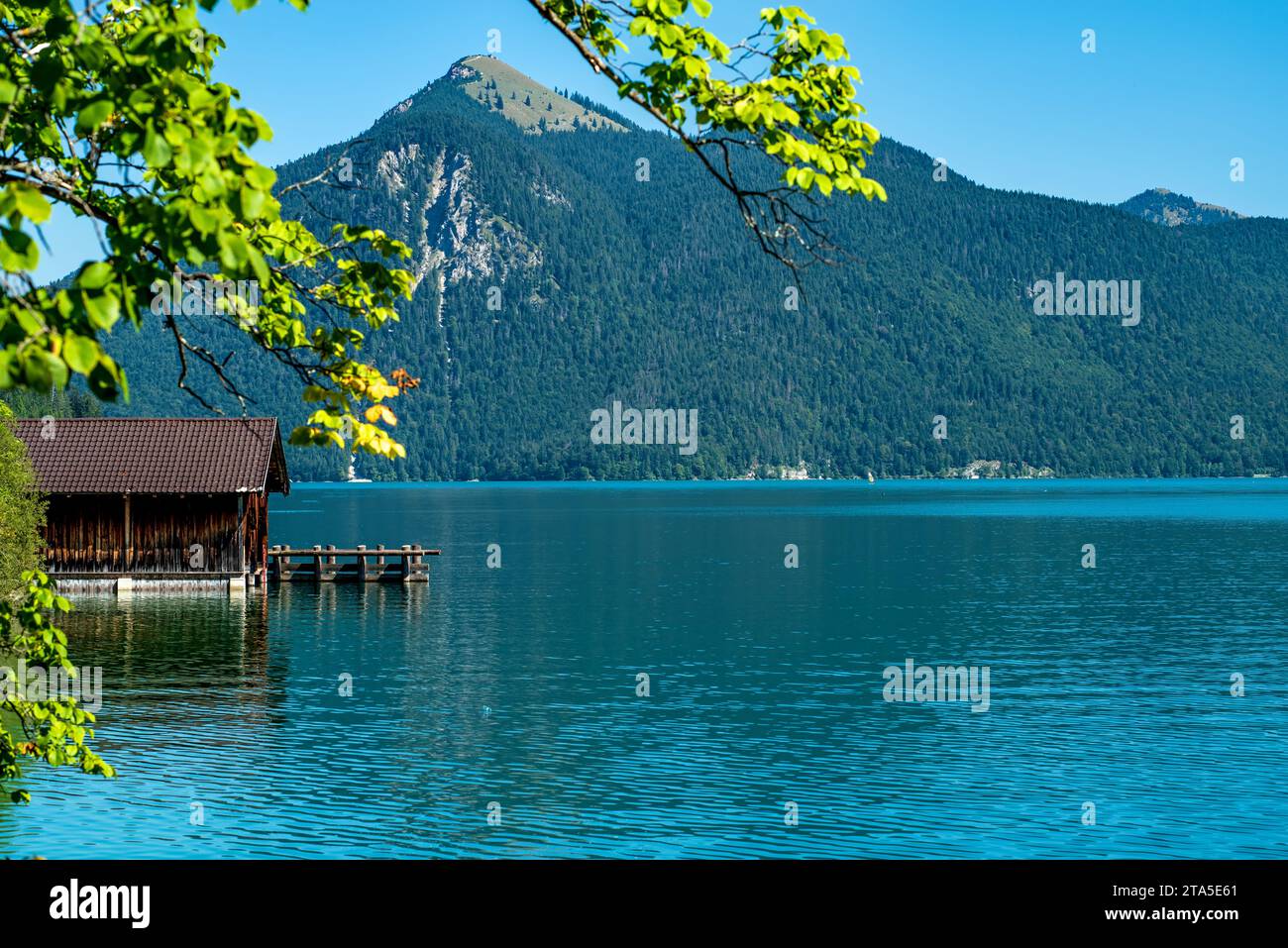 Der Walchensee ist einer der tiefsten (maximale Tiefe: 190 m) und zugleich einer der größten (16 ...