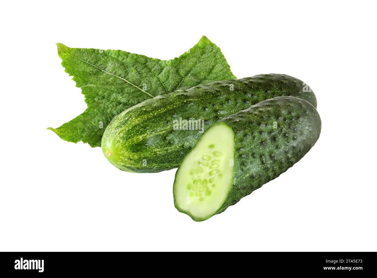 whole and sliced cucumber with leaf isolated on white background Stock ...