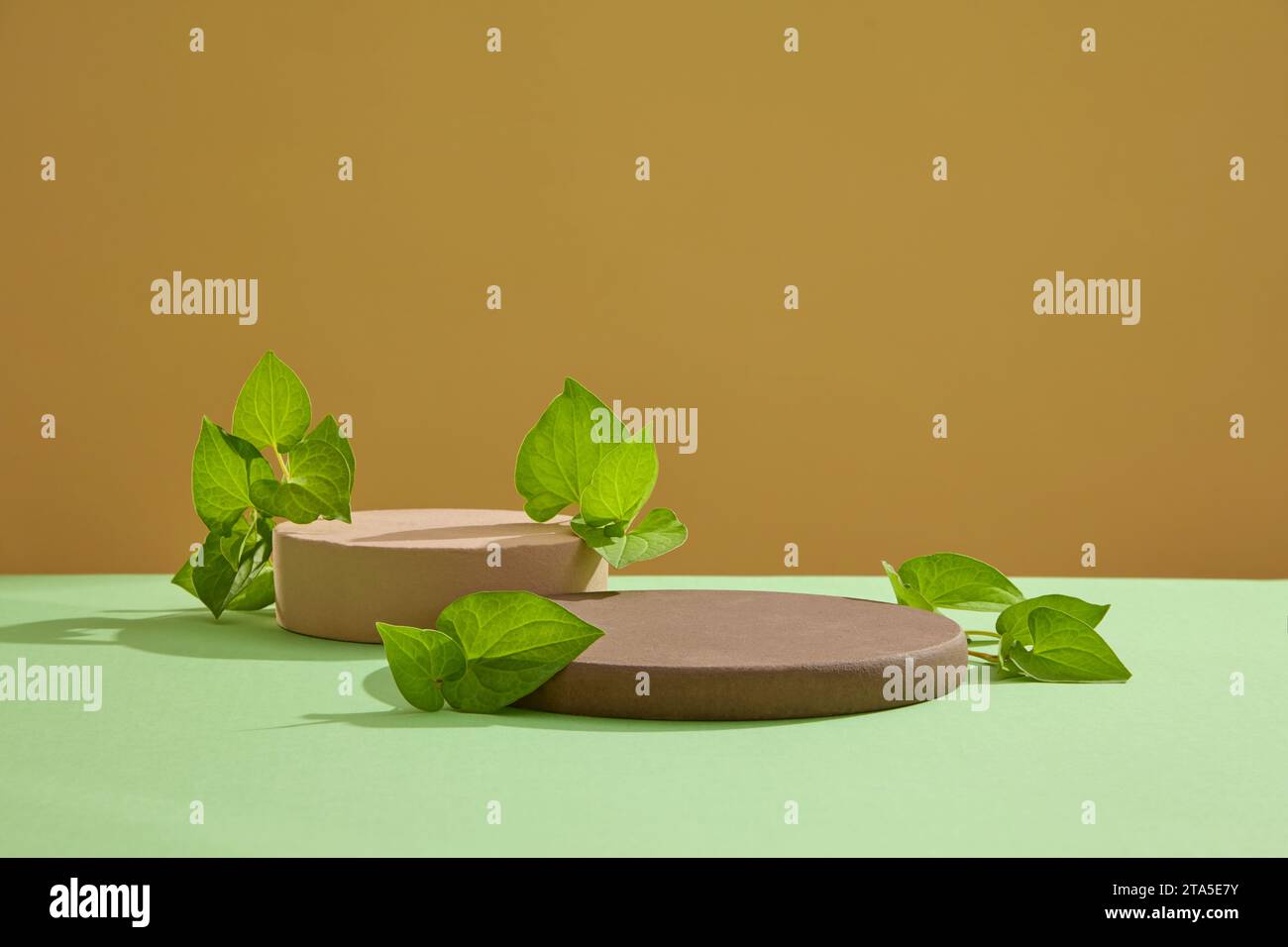 Two podiums in round shaped decorated with fish mint leaves over beige ...