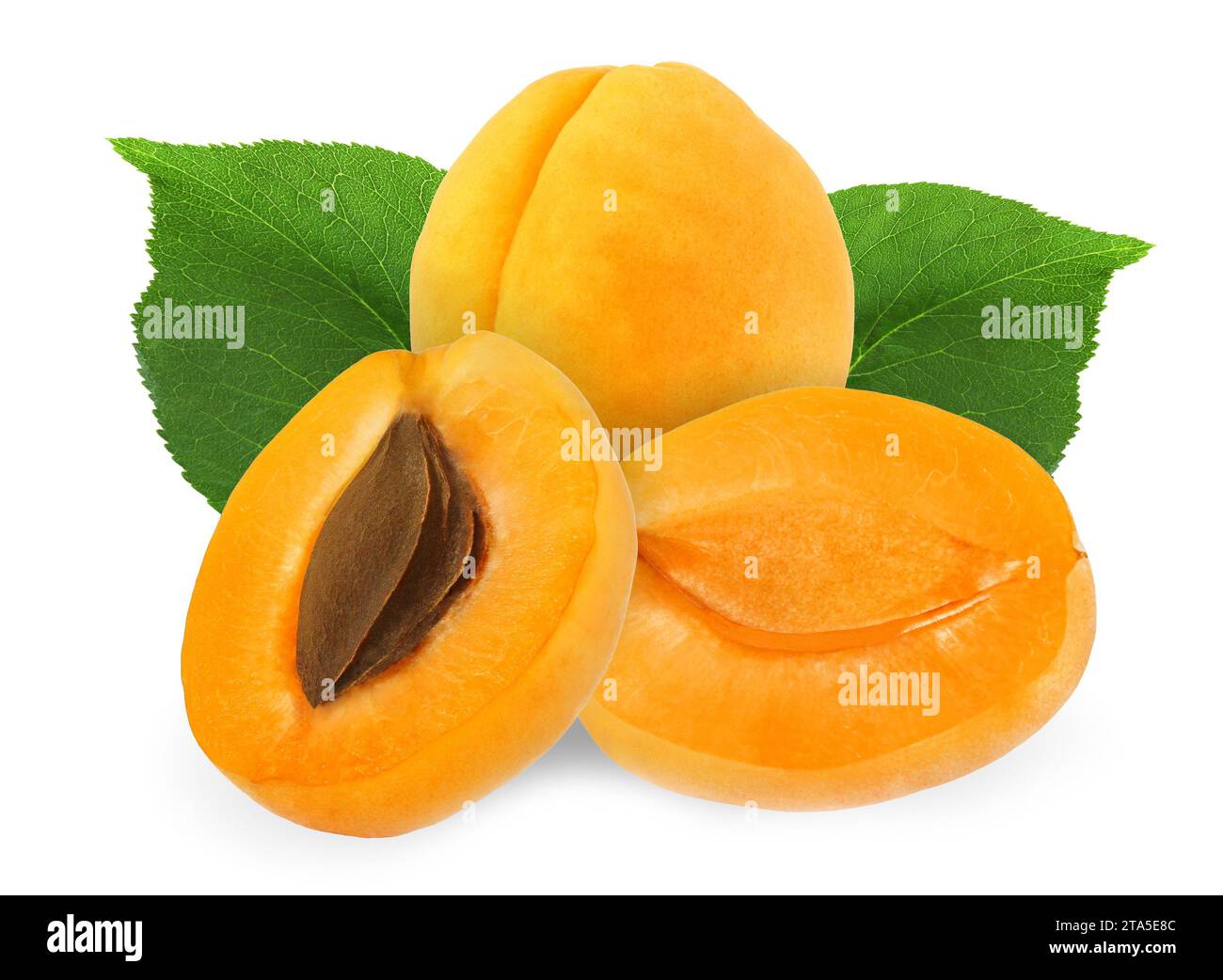 cut and whole apricot with leaf isolated on white background with ...