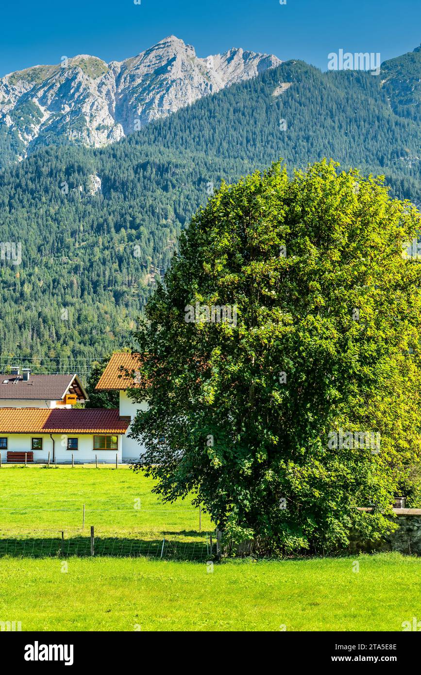 Wiesen sommer hi-res stock photography and images - Alamy