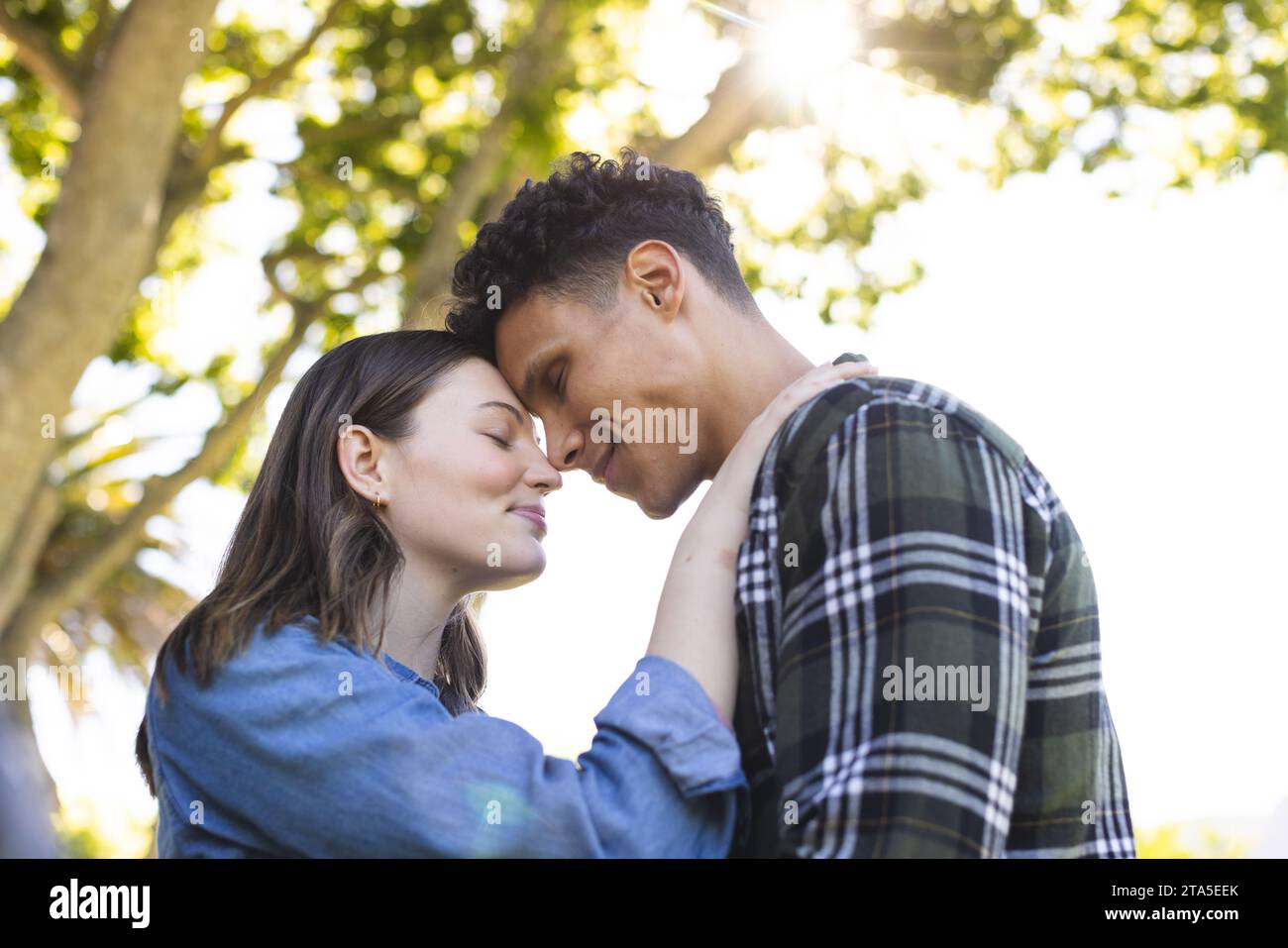 Happy diverse couple embracing and touching foreheads in sunny garden ...