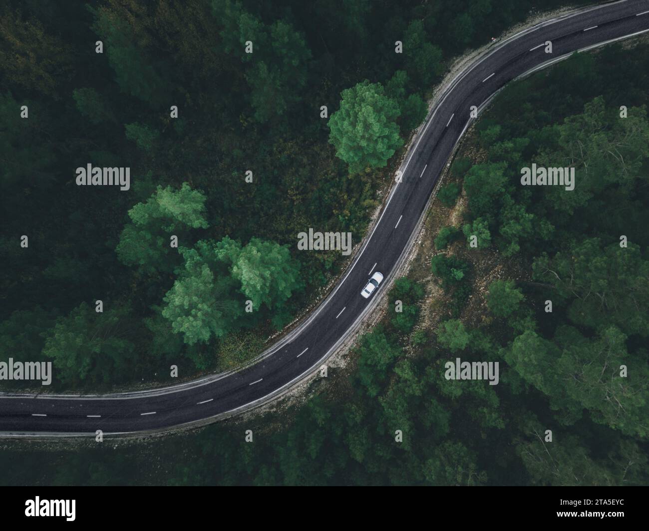 Driving on a jungle hi-res stock photography and images - Alamy