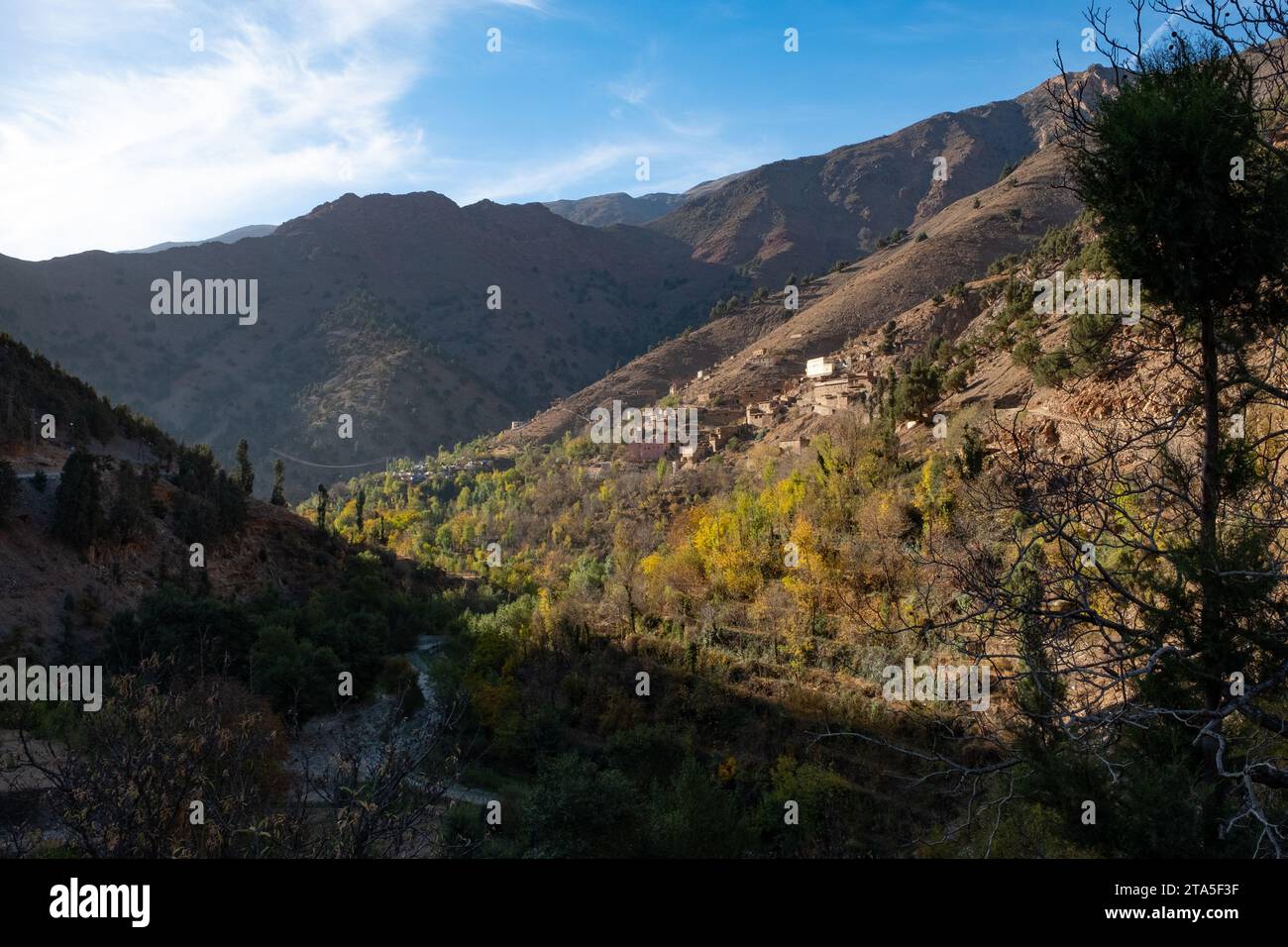 Alous hi-res stock photography and images - Alamy