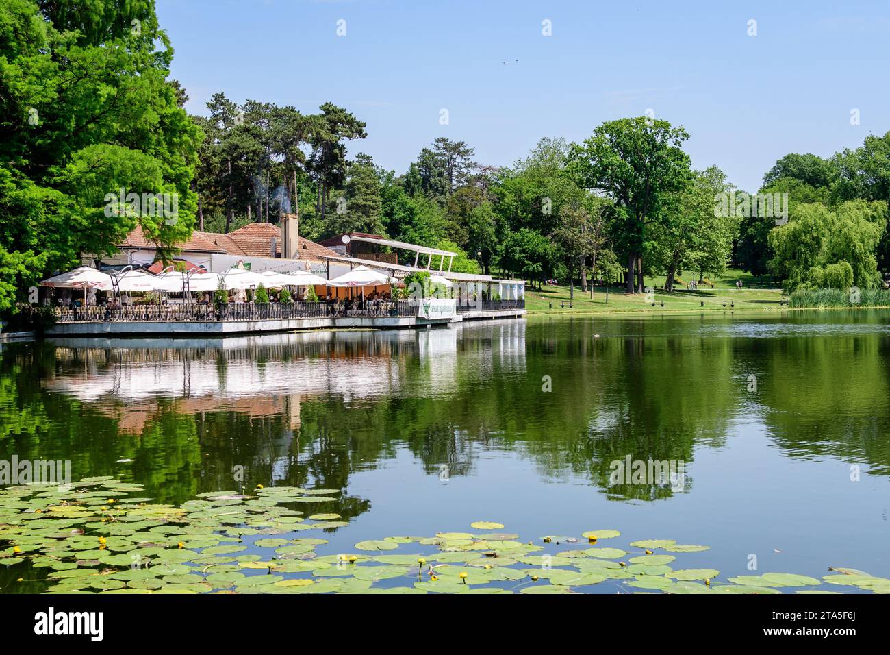 Parcul nicolae romanescu hi-res stock photography and images - Alamy