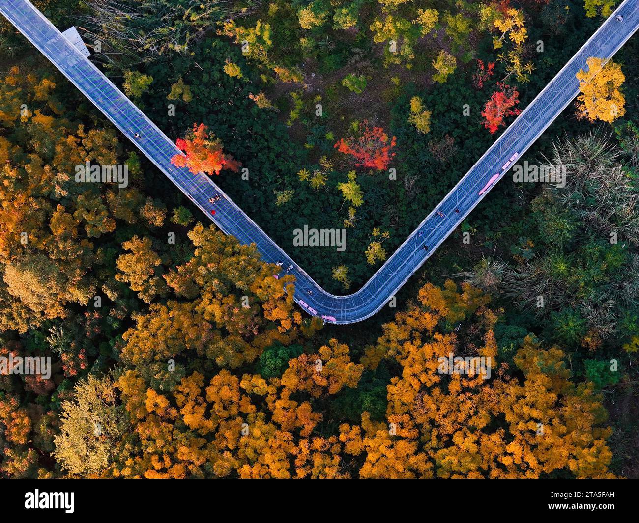 Aerial photo shows the love themed high-altitude boardwalk in Chengdu ...