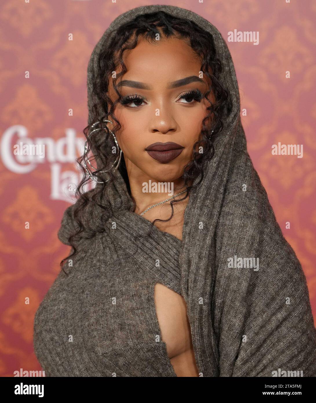 Los Angeles, USA. 28th Nov, 2023. Chloe Bailey arrives at the Amazon ...