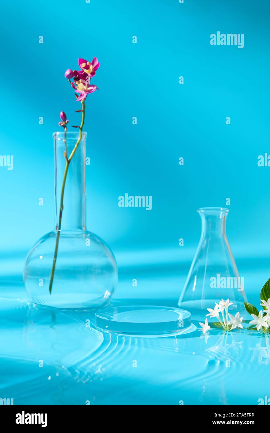 Inside a flat hi-res stock photography and images - Alamy