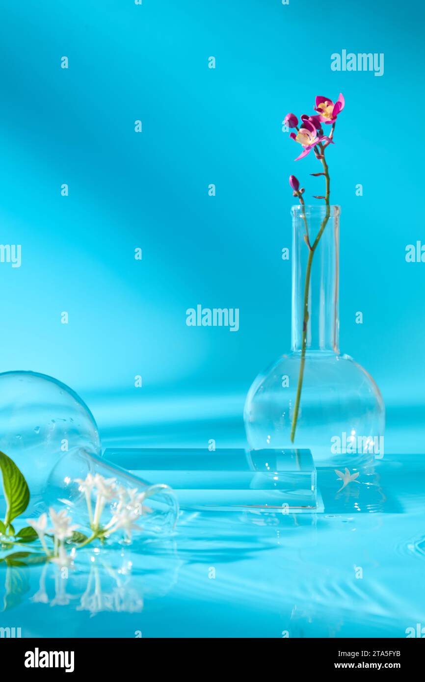 Transparent podium in rectangle shaped decorated with flat-bottom ...