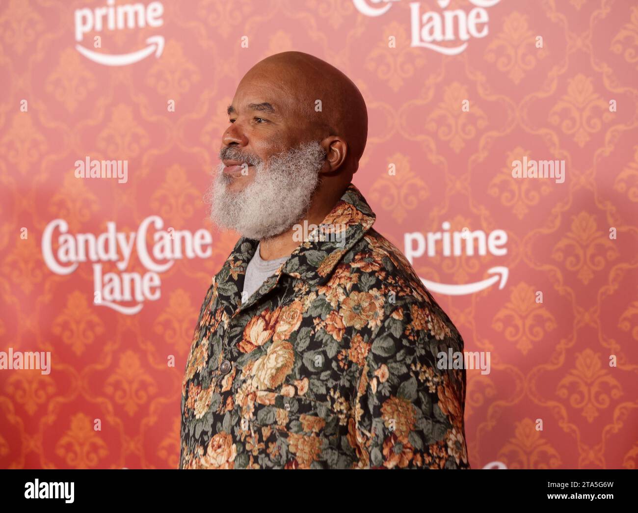 Los Angeles, United States. 28th Nov, 2023. Cast member David Alan ...