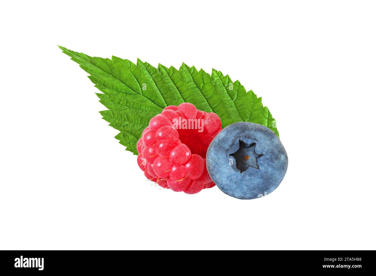 raspberriy and blueberry with leaf isolated on white background with ...