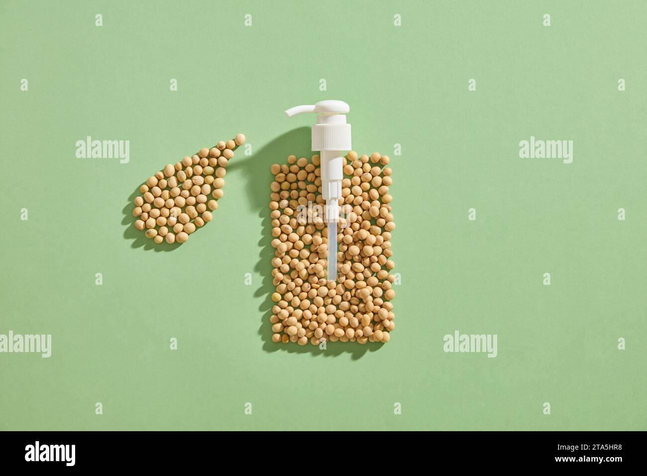 Soybean Seed Shape