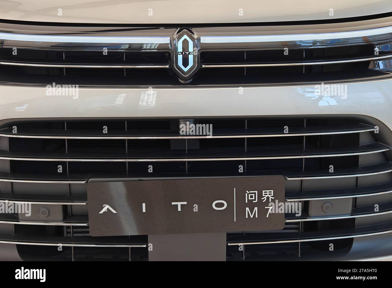 SHANGHAI, CHINA - NOVEMBER 29, 2023 - Customers look at a new energy ...
