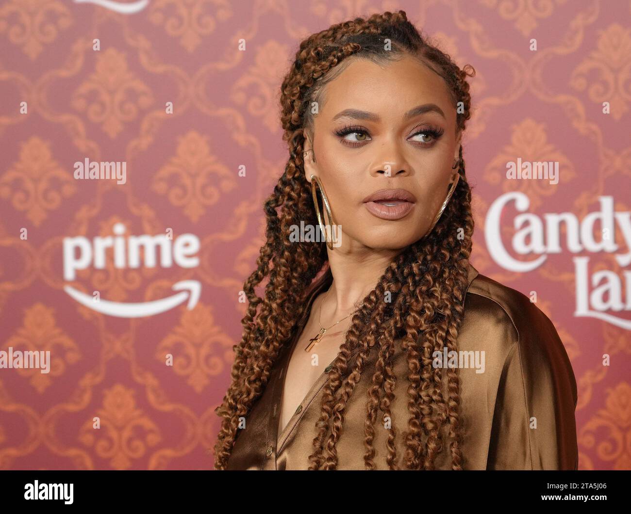 Los Angeles, USA. 28th Nov, 2023. Andra Day arrives at the Amazon Prime ...