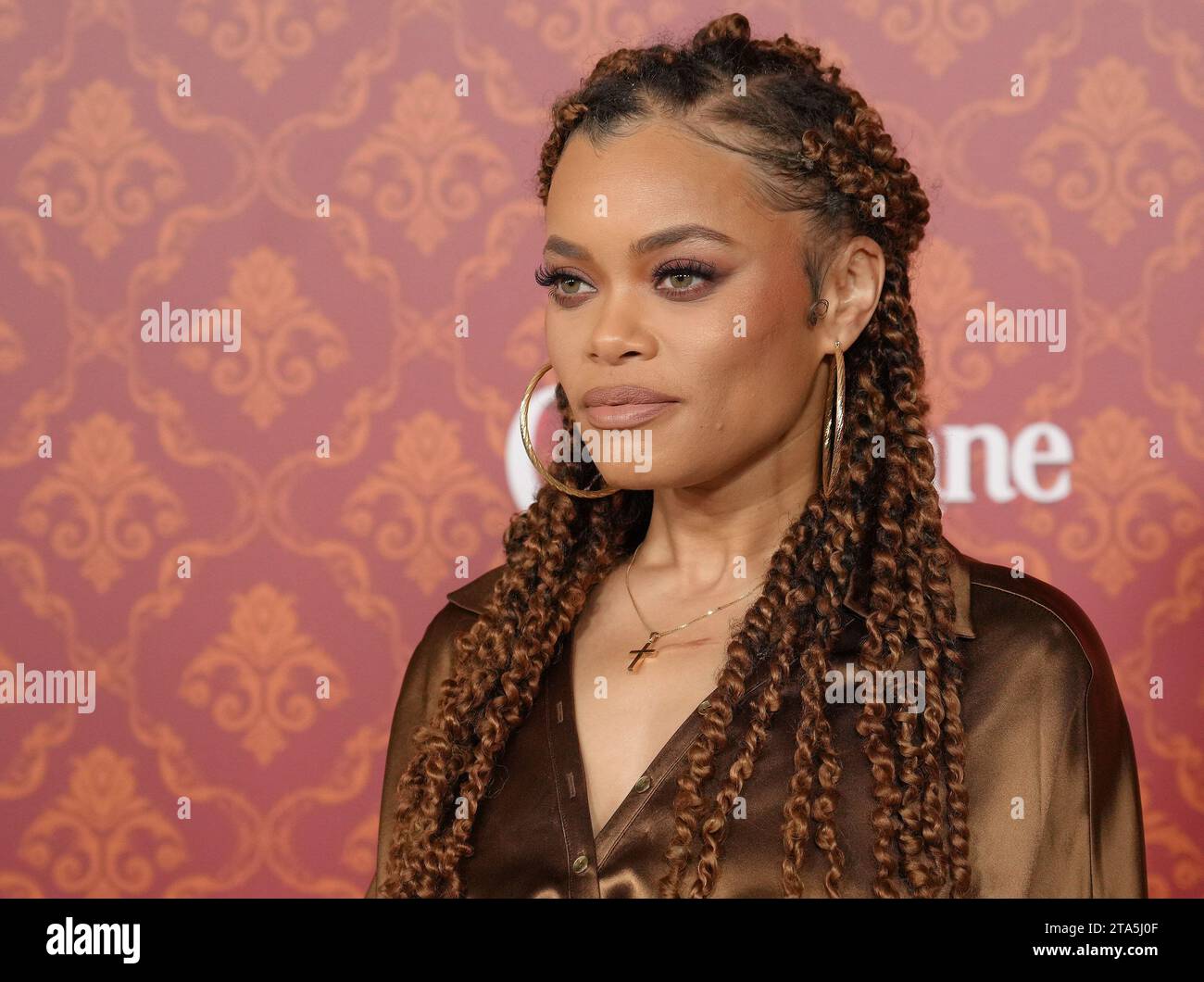 Los Angeles, USA. 28th Nov, 2023. Andra Day arrives at the Amazon Prime ...