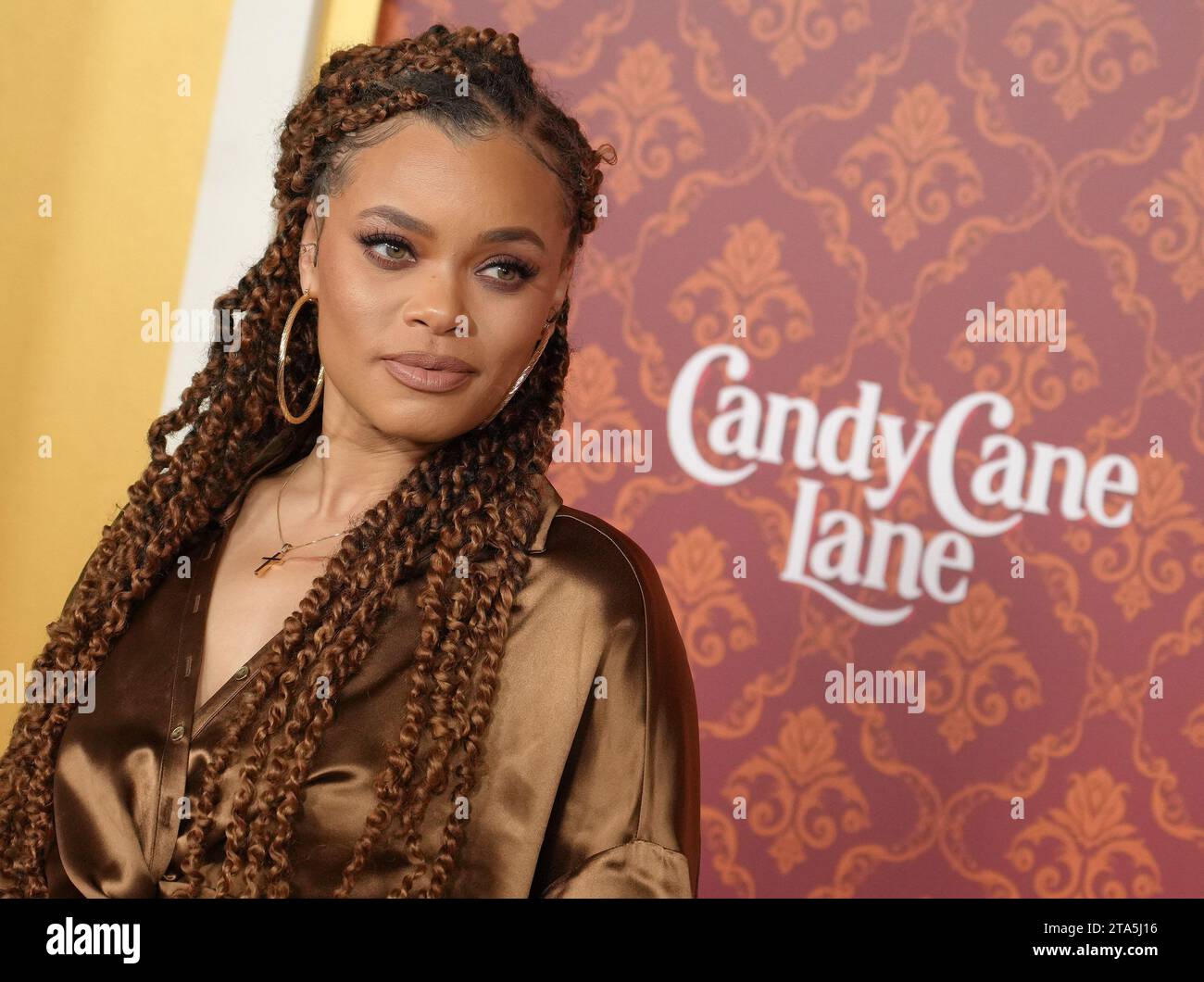 Los Angeles, USA. 28th Nov, 2023. Andra Day arrives at the Amazon Prime ...