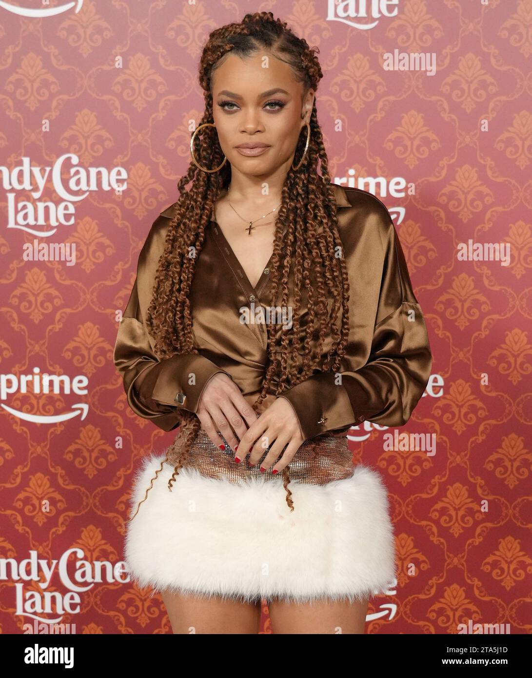 Los Angeles, USA. 28th Nov, 2023. Andra Day arrives at the Amazon Prime ...