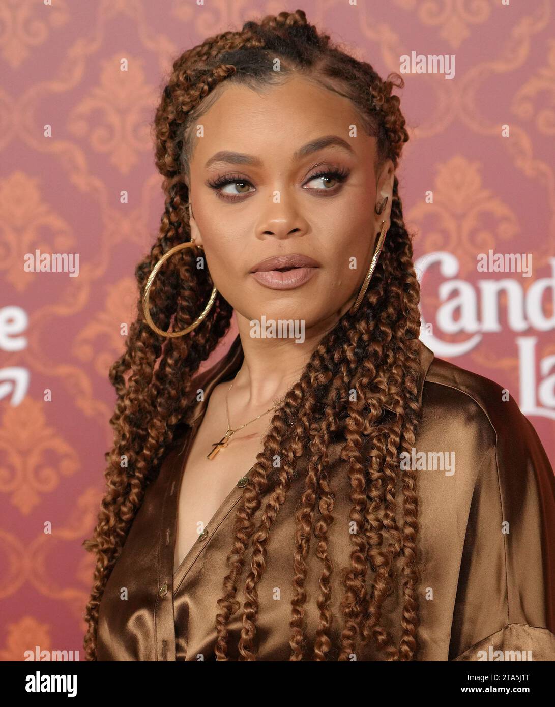 Los Angeles, USA. 28th Nov, 2023. Andra Day arrives at the Amazon Prime ...