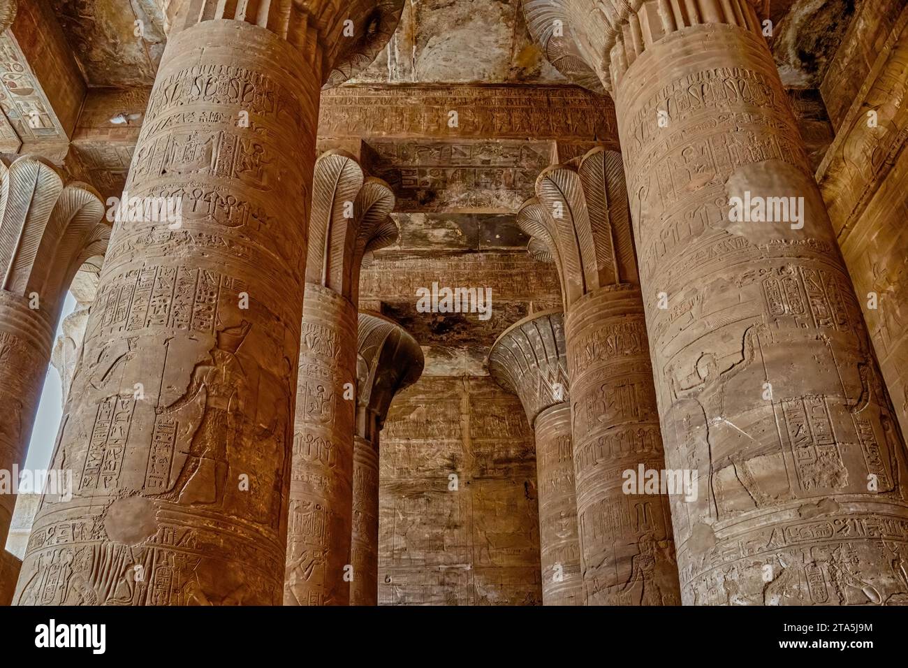 A view of the columns of the temple of Edfu in Egypt built during the ...