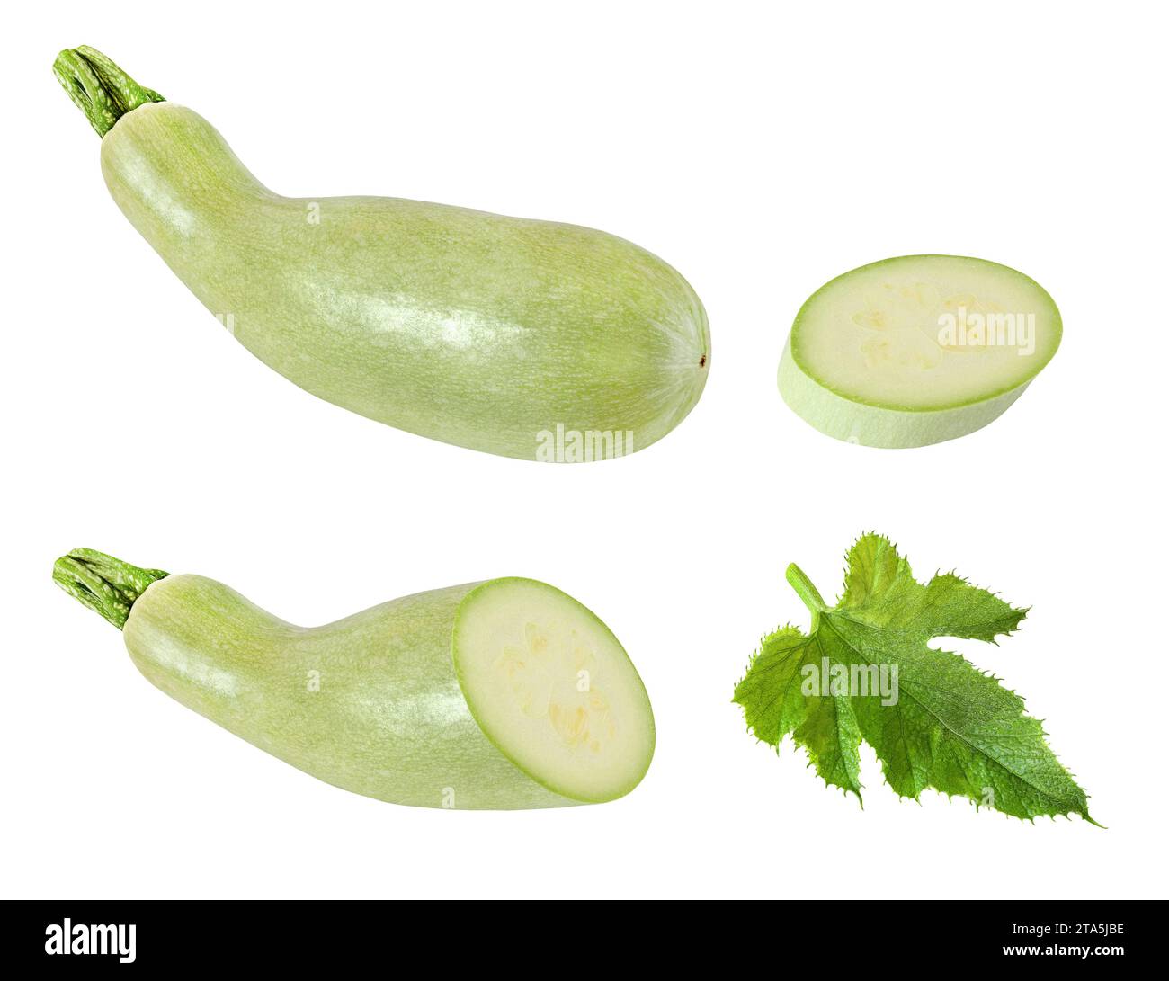 Collection of whole and sliced light green zucchini on white background ...